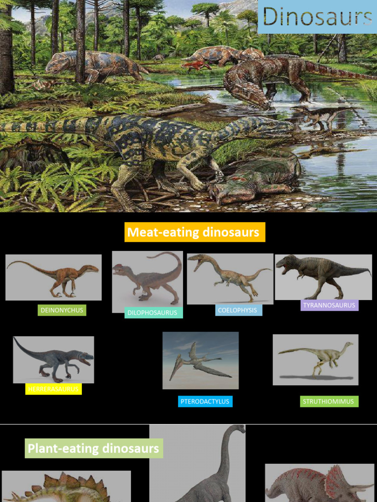 (Plant and Meat Eating) Dinosaurs | PDF | Science & Mathematics