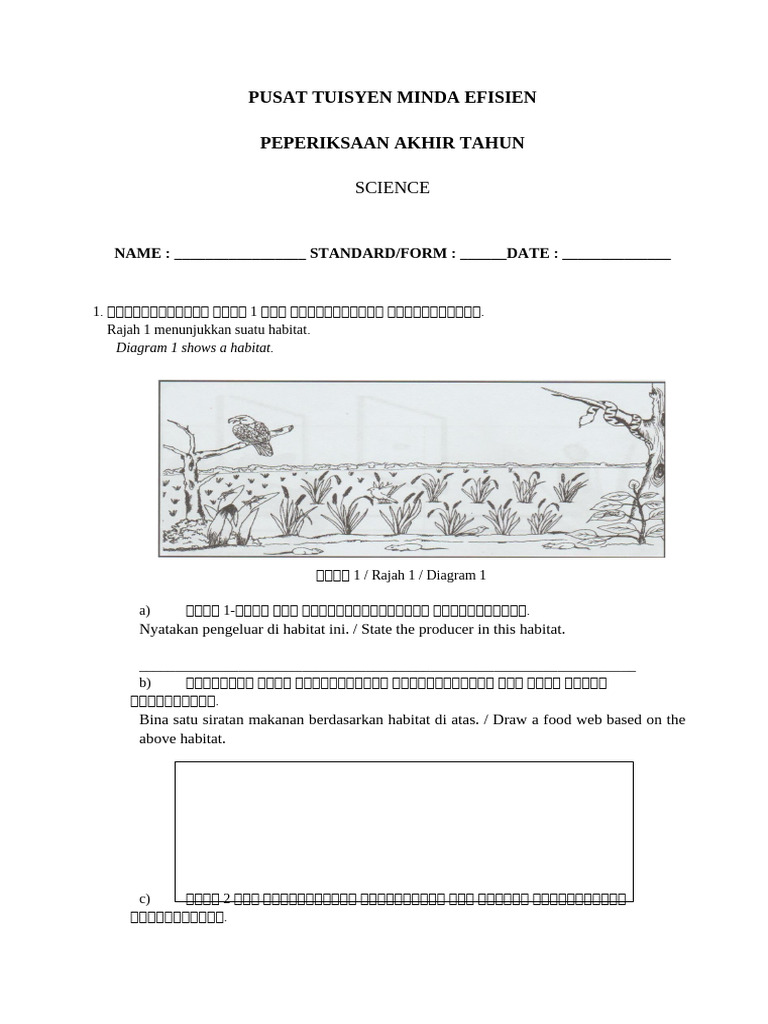 Science Final Year STD 3 | PDF