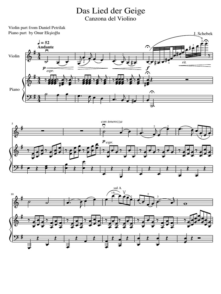 Schebek - Das Lied Der Geige | PDF | String Instruments | Violin
