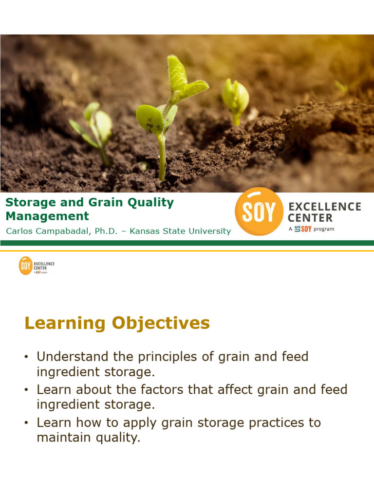 Grain Storage for Quality Control | PDF | Humidity | Mold