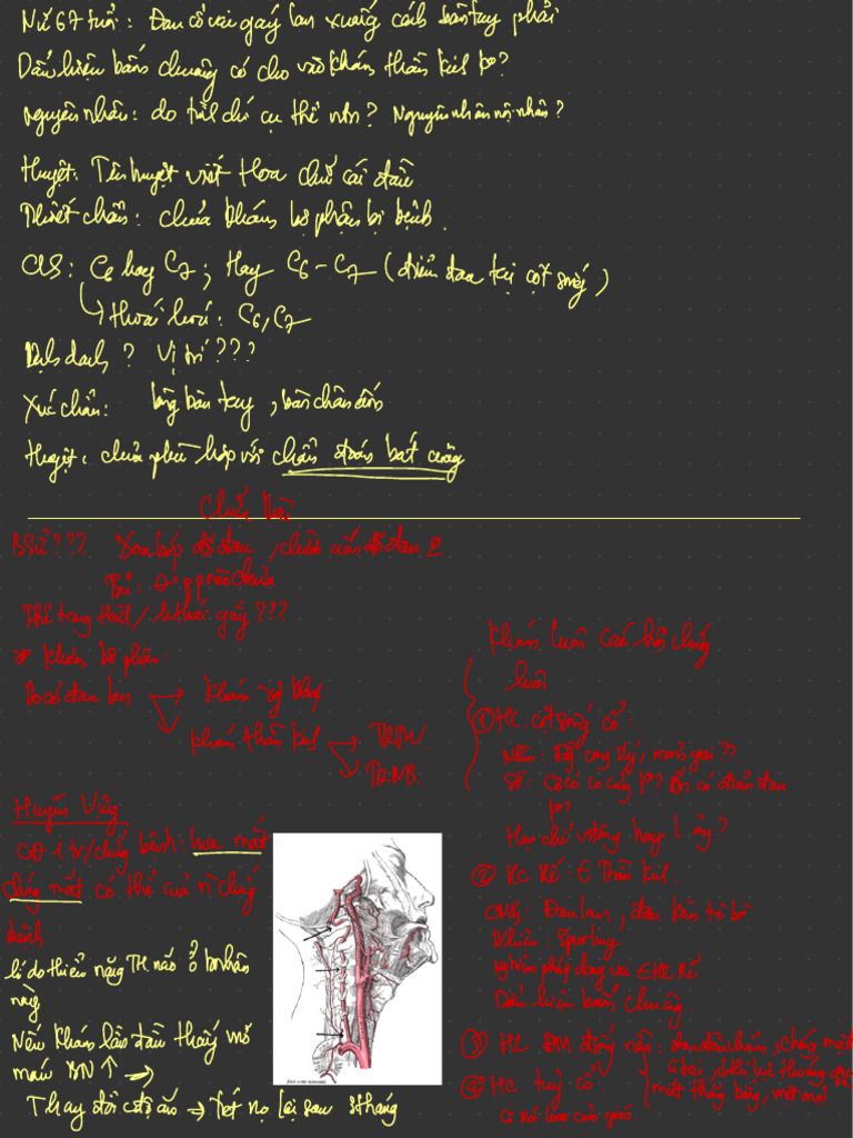 BBA HC C Vai Cánh Tay | PDF