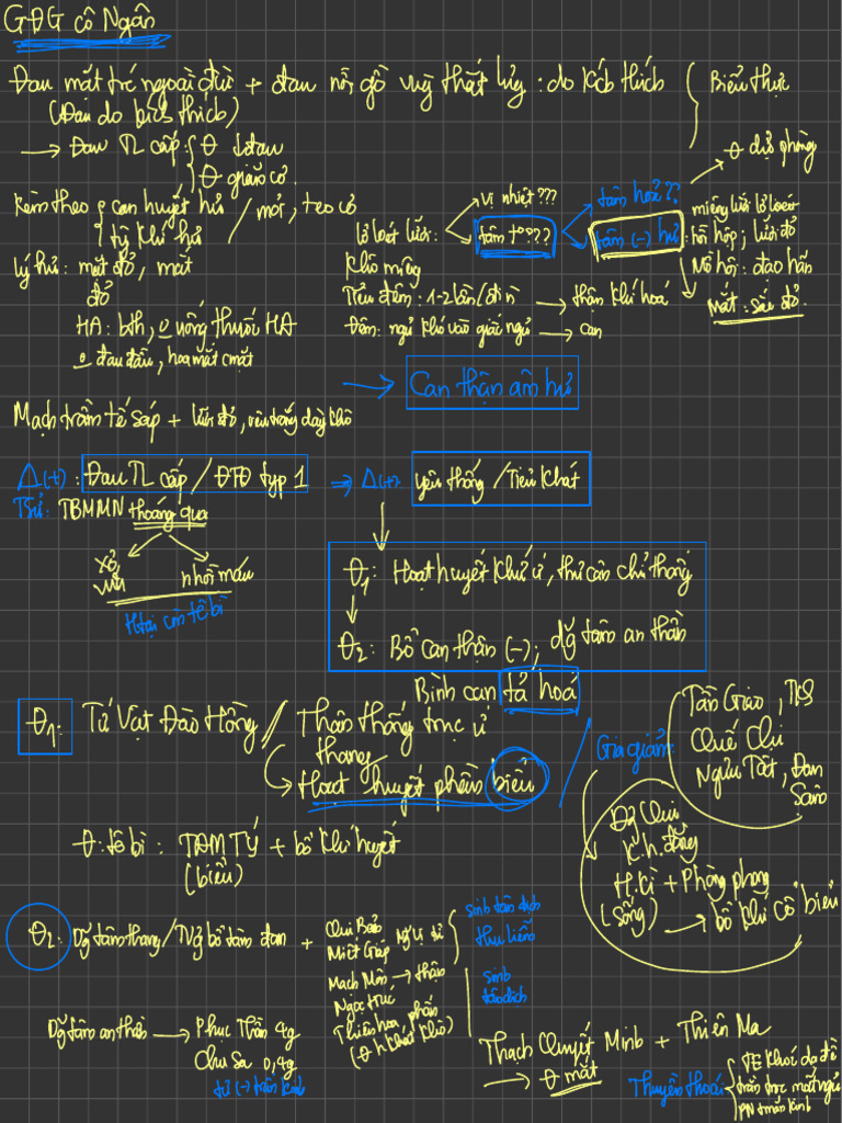 Bài giảng YHCT | PDF