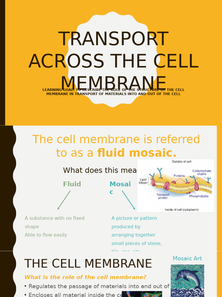 Transport Across The Cell Membrane | PDF | Cell Membrane | Phospholipid