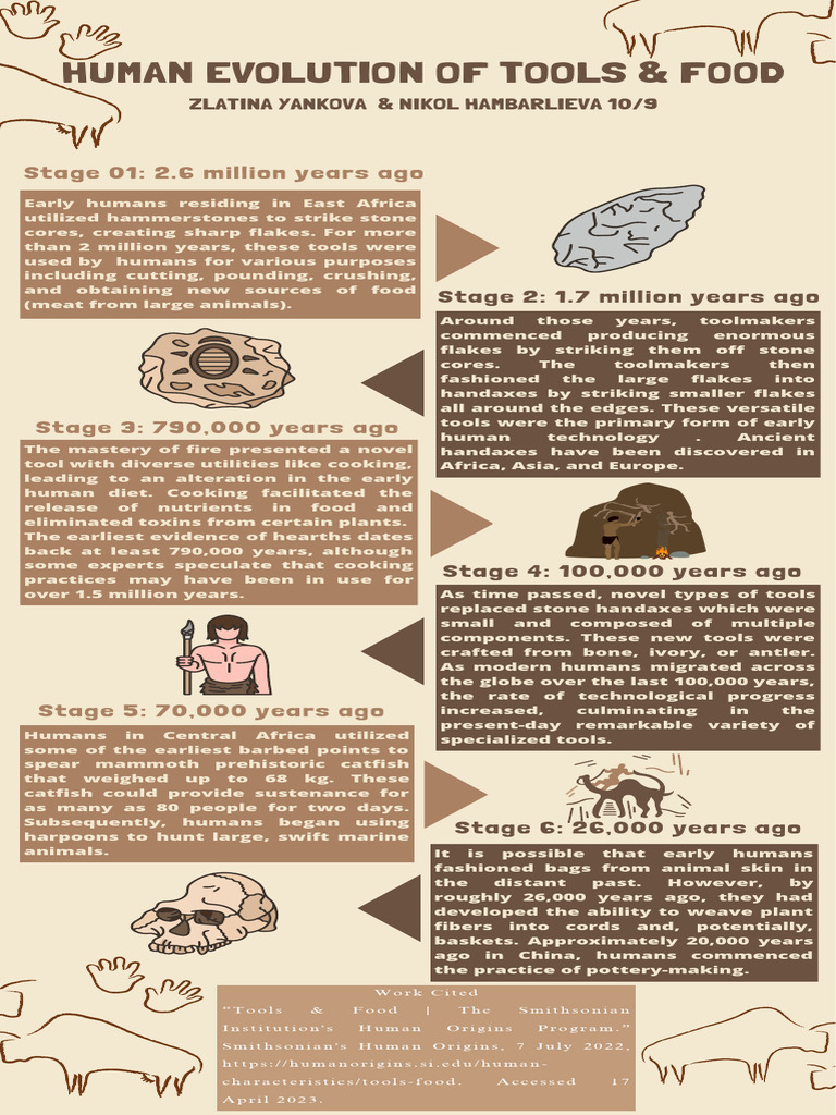 Human Evolution of Tools & Food | PDF | Human | Tools