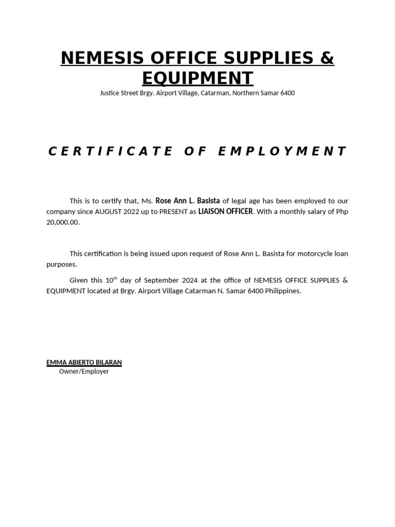 Nemesis Office Supplies | PDF | Business | Finance & Money Management