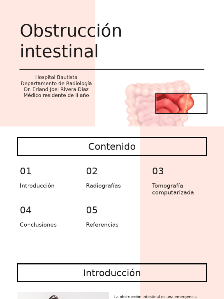 Obstrucción Intestinal | PDF | Tracto gastrointestinal | Intestino grueso