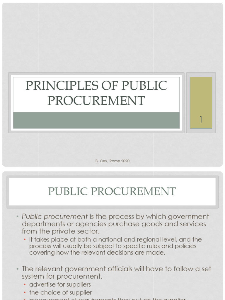 Key Principles of Public Procurement | PDF | Procurement | Business