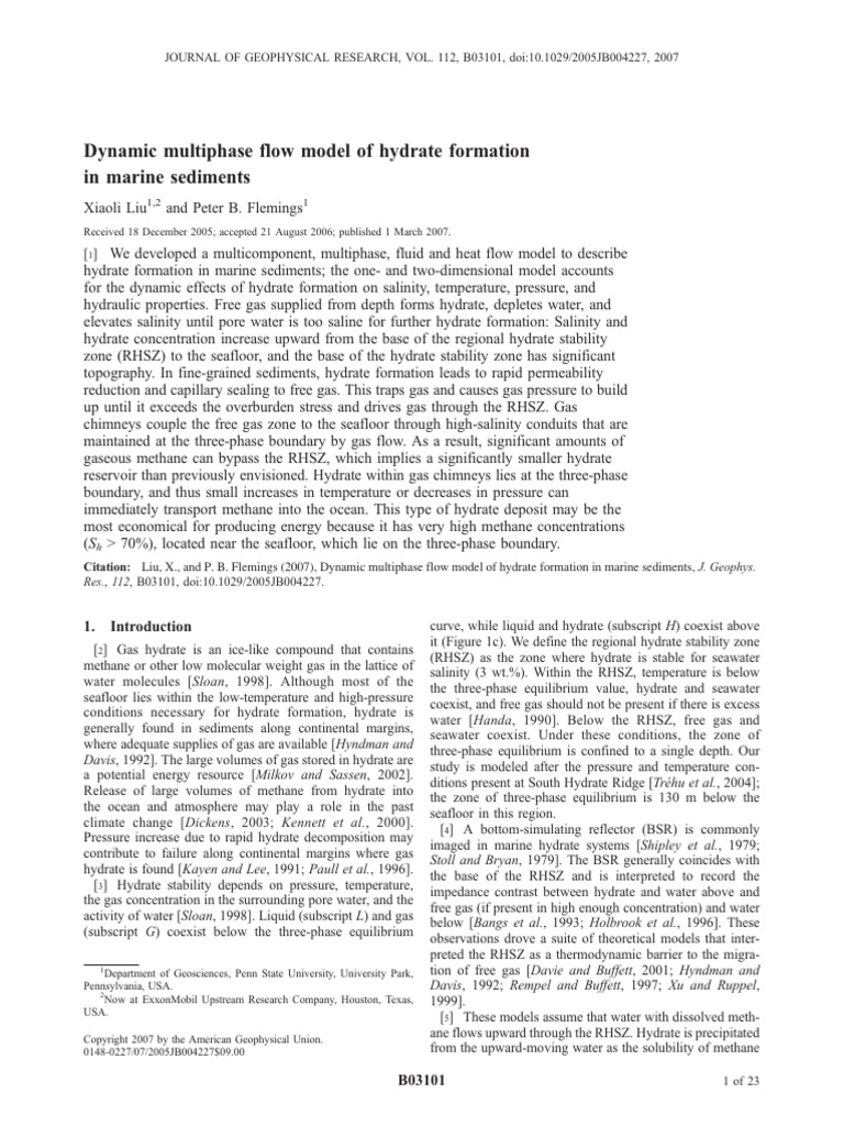 2007 - Dynamic Multiphase Flow Model of Hydrate Formation | PDF ...