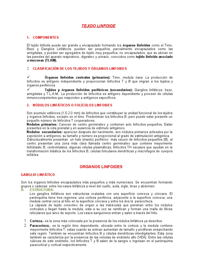 Estructura y Función del Tejido Linfoide | PDF | Ganglio linfático ...