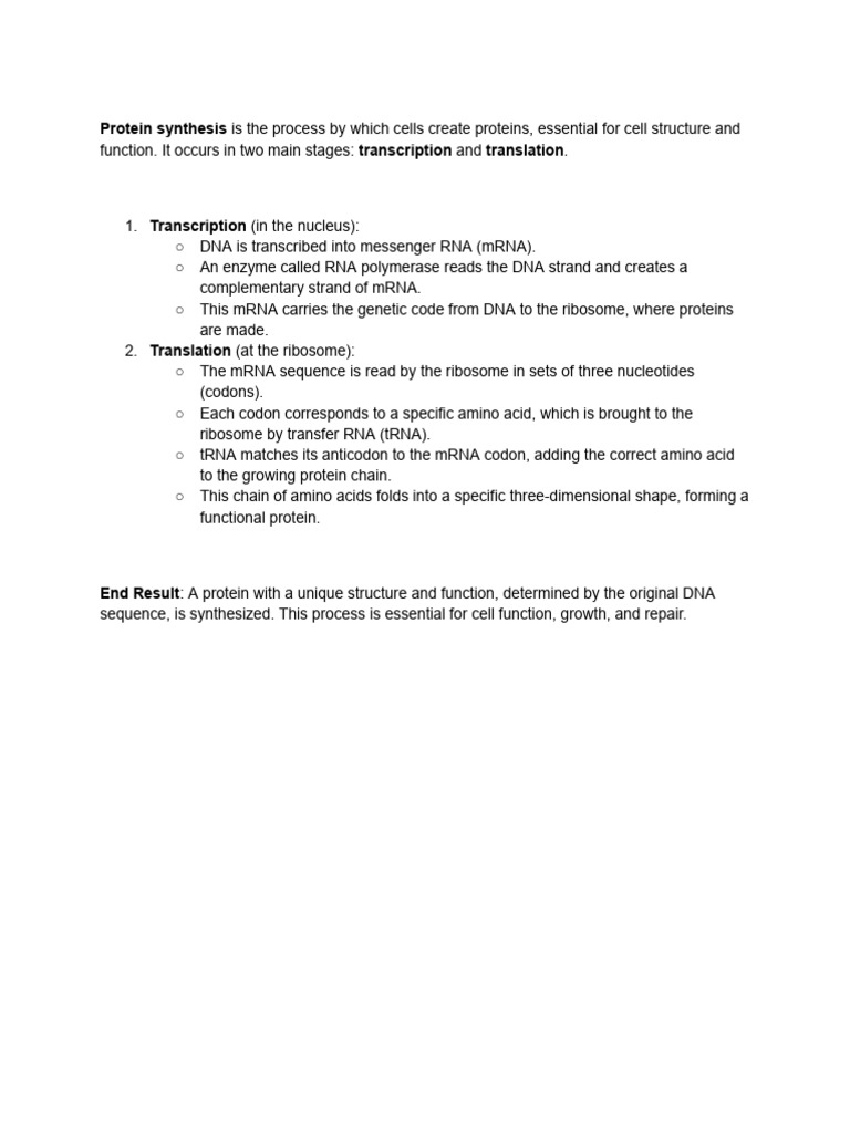Protein Synthesis | PDF | Science & Mathematics | Computers
