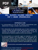 Guía de Cervicometría FECOPEN | PDF | Parto prematuro | Parto