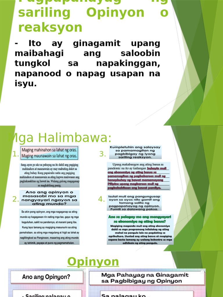 Pagpapahayag NG Sariling Opinyon o Reaksyon | PDF