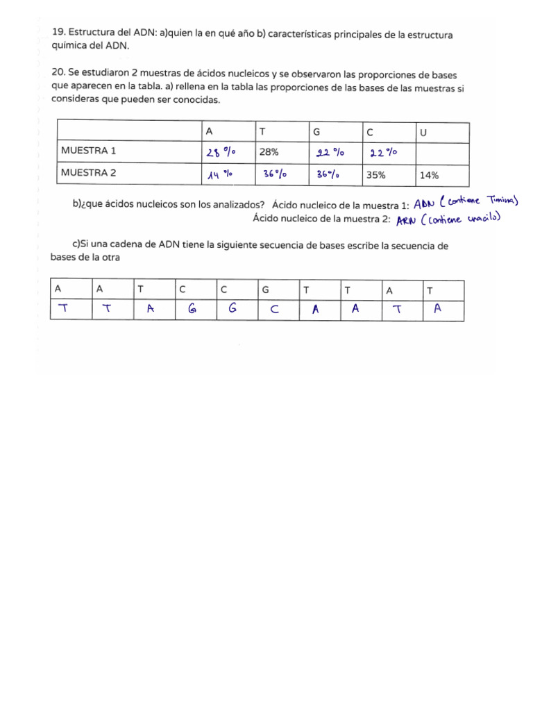 Actividad ADN y ARN | PDF