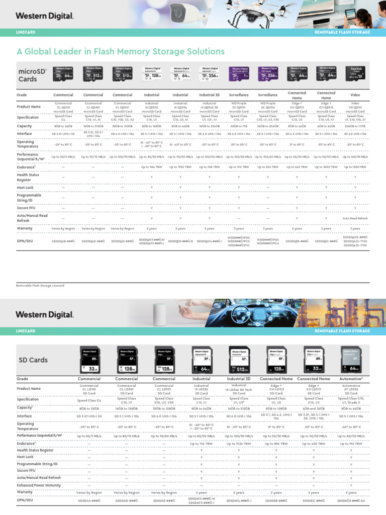 Brochure Removable Flash Storage | PDF | Computer Data | Computer Architecture