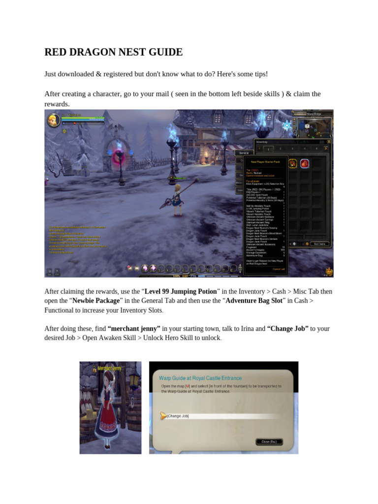 Red Dragon Nest Newbie Guide 1x1 | PDF
