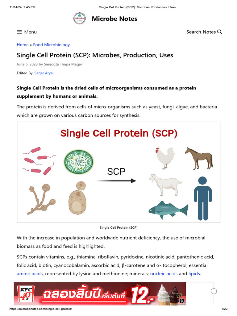 20241114ni - Single Cell Protein (SCP) - Microbes, Production, Uses | PDF