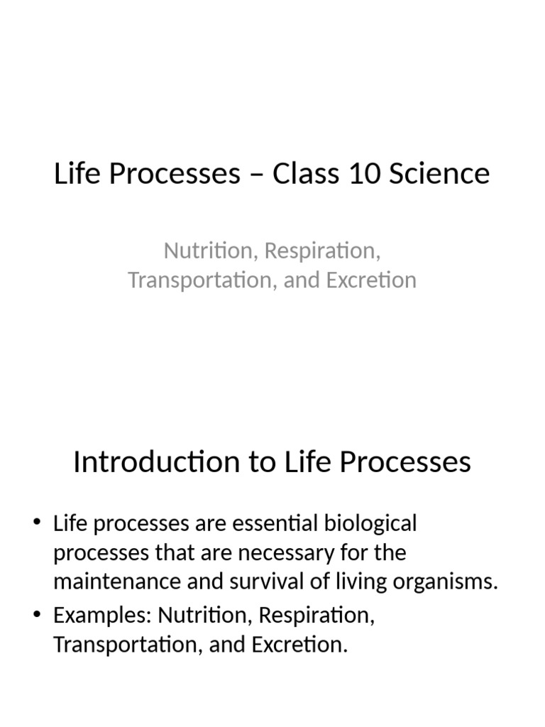 Class 10 Science: Life Processes Overview | PDF