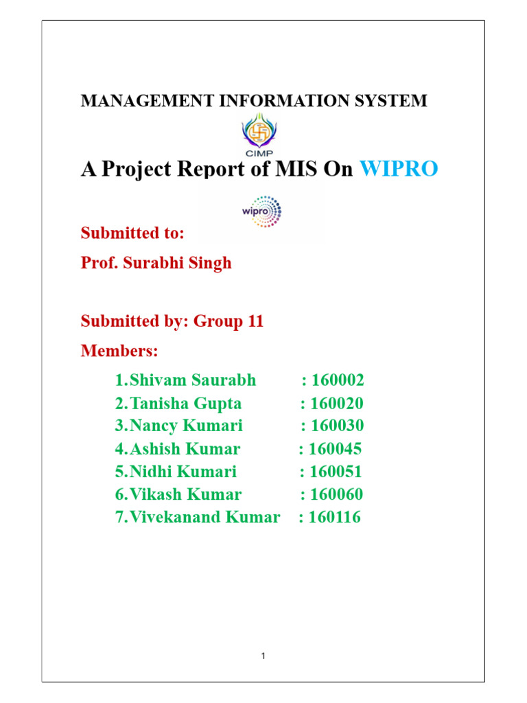 MIS Report - Group 11 | PDF | Customer Relationship Management ...