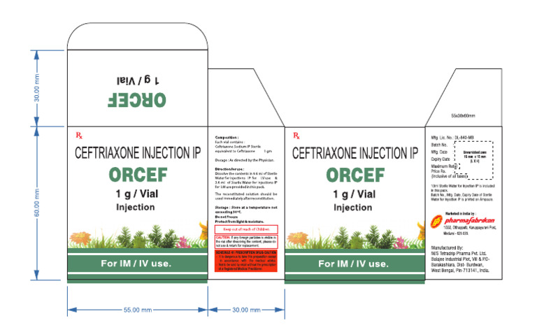 Orcef CN 12.09.2024 | PDF