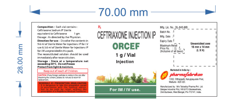 Orcef LBL 12.09.2024 | PDF