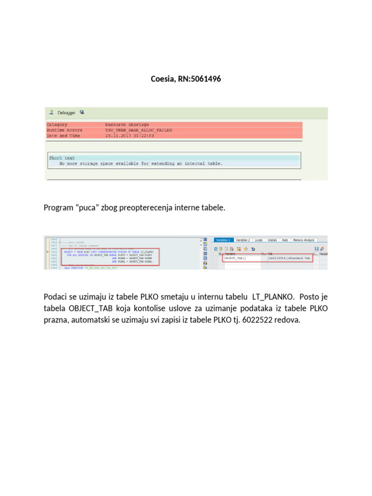 Coesia RN5061496 - Analiza | PDF