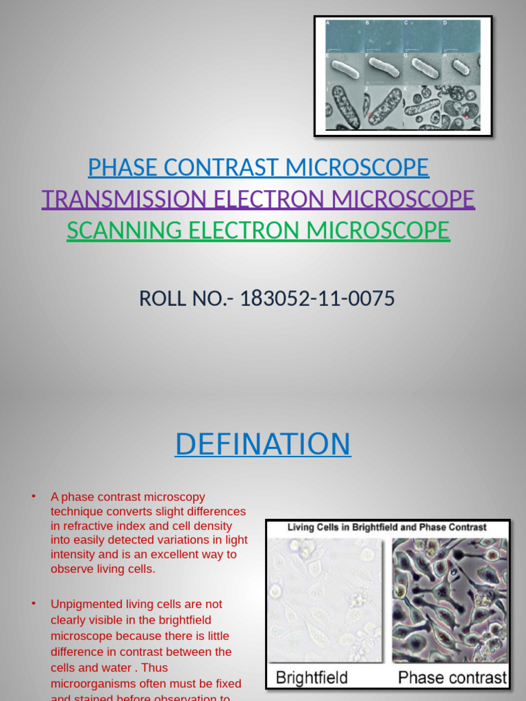 Phase Contrast Microscope, Transmission Electron Microscope, Scanning Electron Microscope | PDF ...