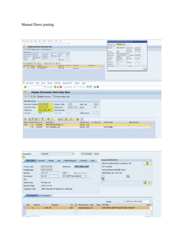Manual Direct Posting Guide | PDF