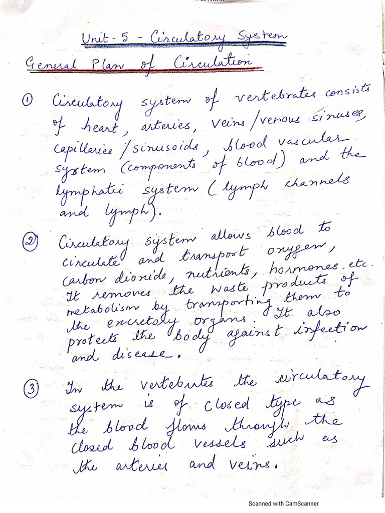 Unit-5 - Circulatory System - General Plan of Circulation | PDF