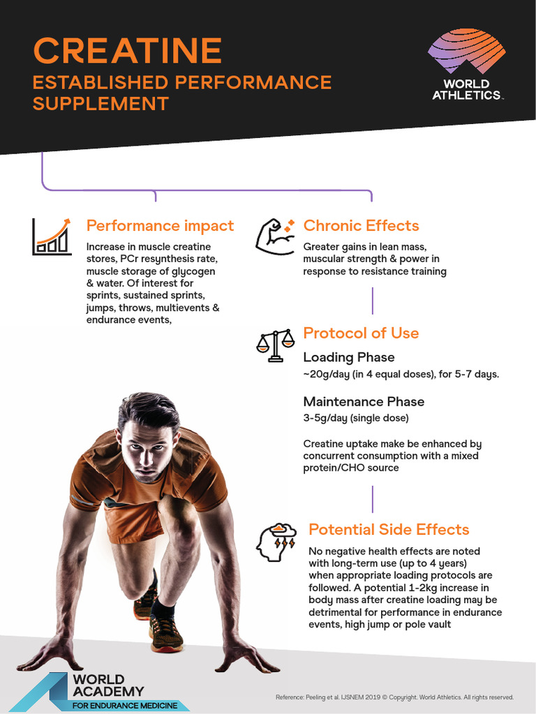 Sports Nutrition Infographic - Creatine | PDF | Wellness