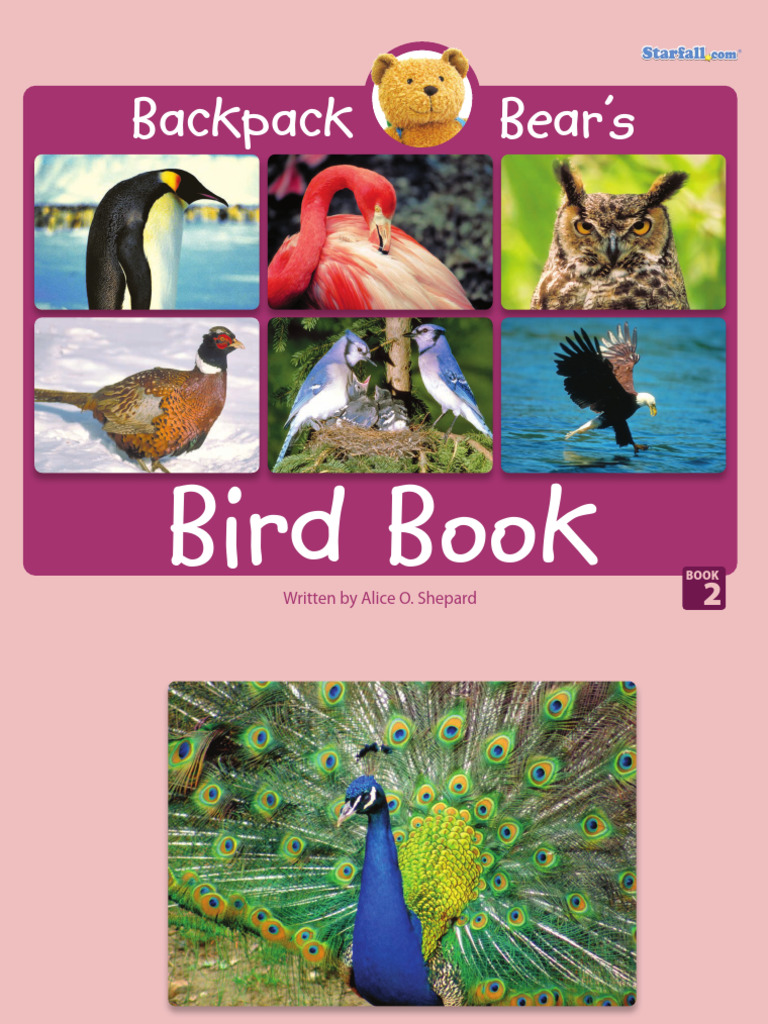 SB875 Backpack Bears Bird Book | PDF | Birds | Dinosaurs
