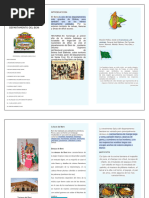 Triptico Warnes | PDF