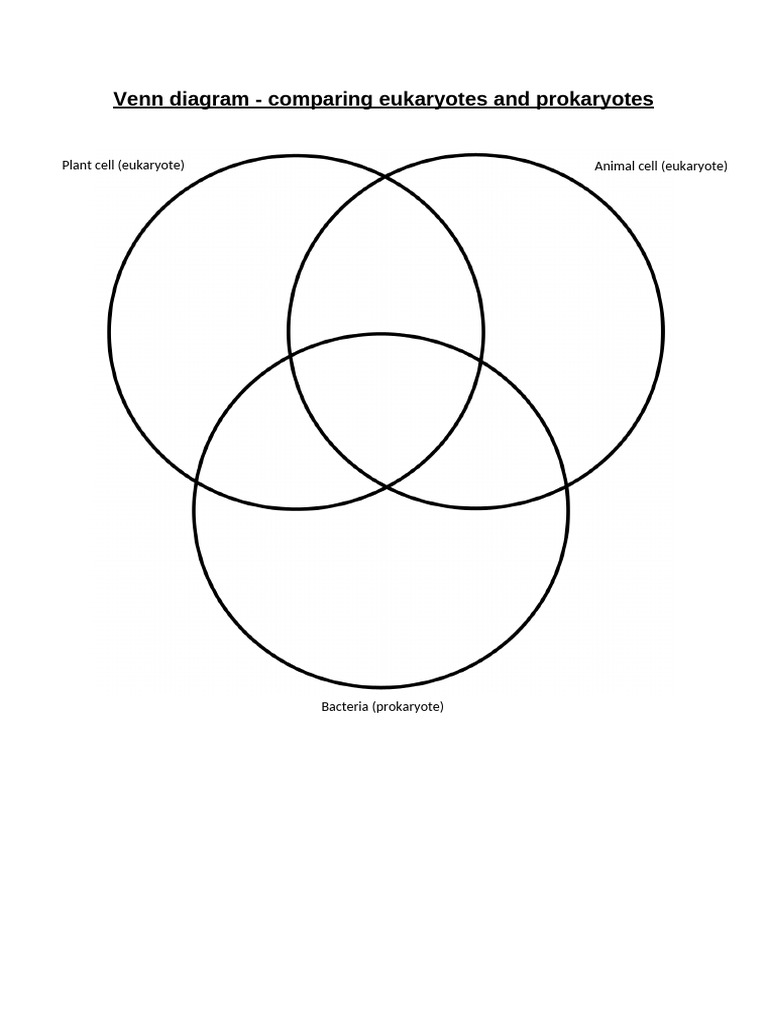 Venn Diagram - Comparing Eukaryotes and Prokaryotes | PDF | Wellness ...