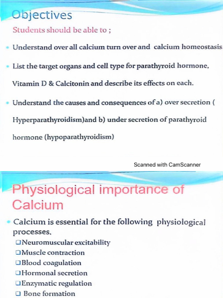 Calcium Homeostasis-Dr Yar Muhammad | PDF