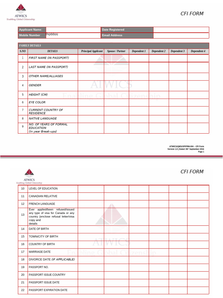 CFI Form (Word Format) | PDF | Travel Visa | Passport