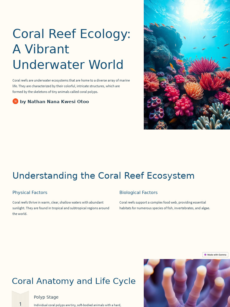 Coral Reef Ecology A Vibrant Underwater World | PDF | Coral | Coral Reef
