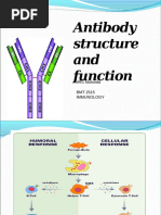 Humoral Immunity | PDF | Antibody | B Cell