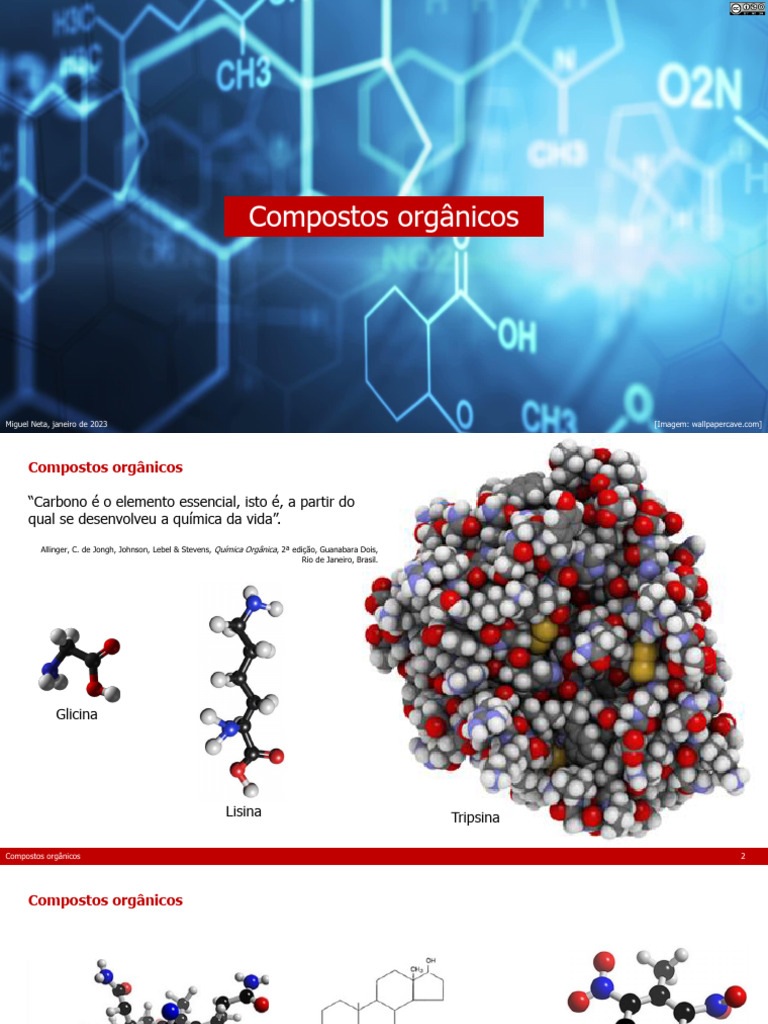 Quimica Orgânica Pdf Alcano Cetona