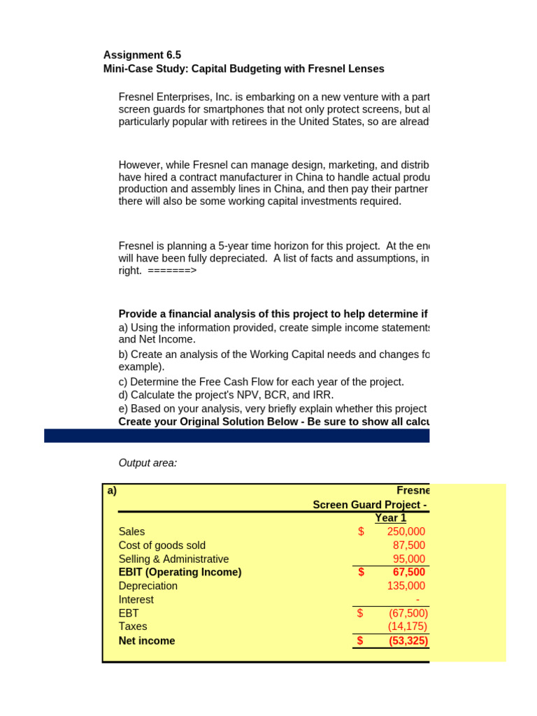 Nikitha Assignment 6.5 Mini Case | PDF | Net Present Value | Internal ...