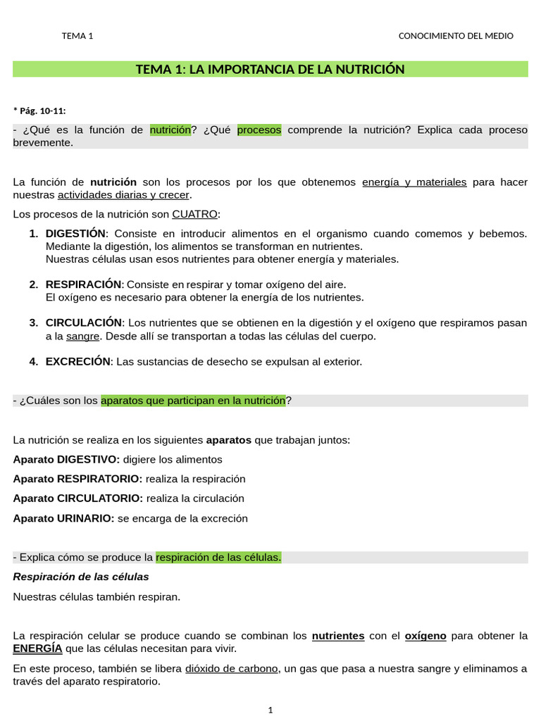 Cono Tema 1 | PDF | Digestión | Sistema digestivo humano