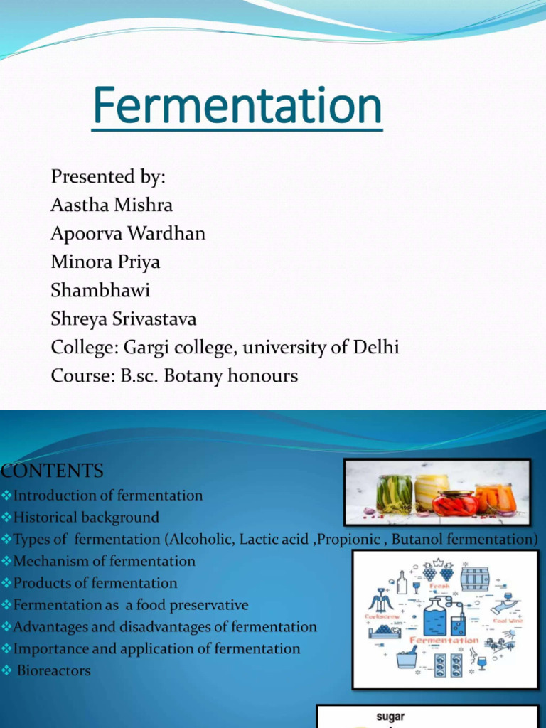 Ferma Ntation | PDF