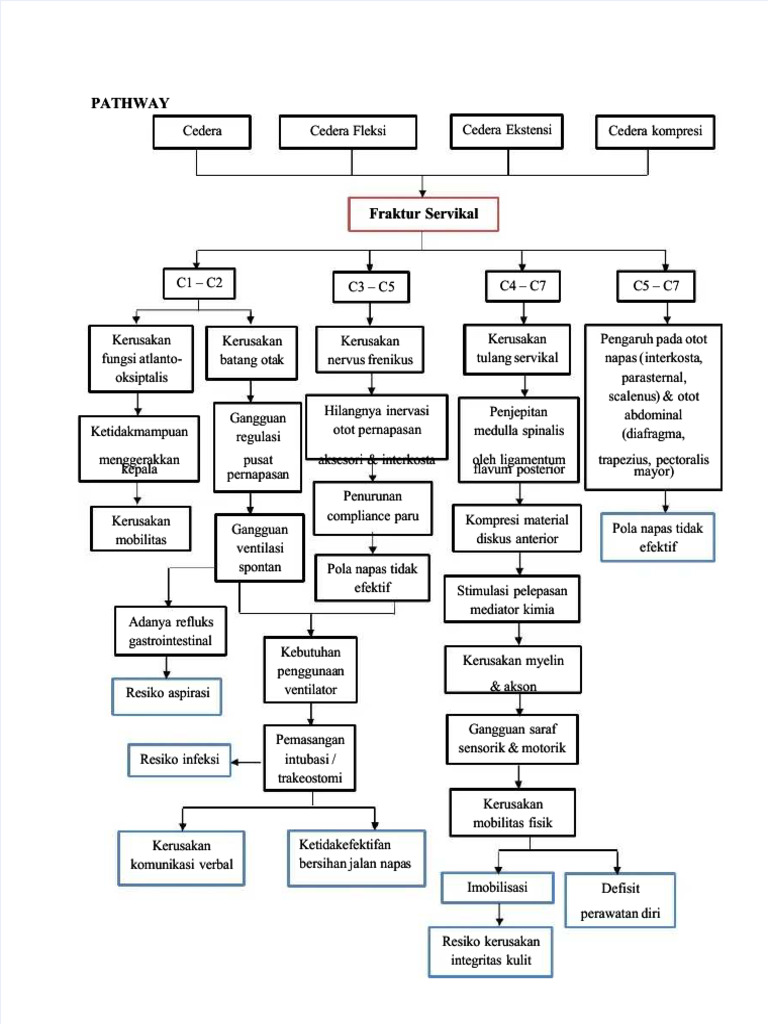 PDF Pathway Trauma Servikald | PDF