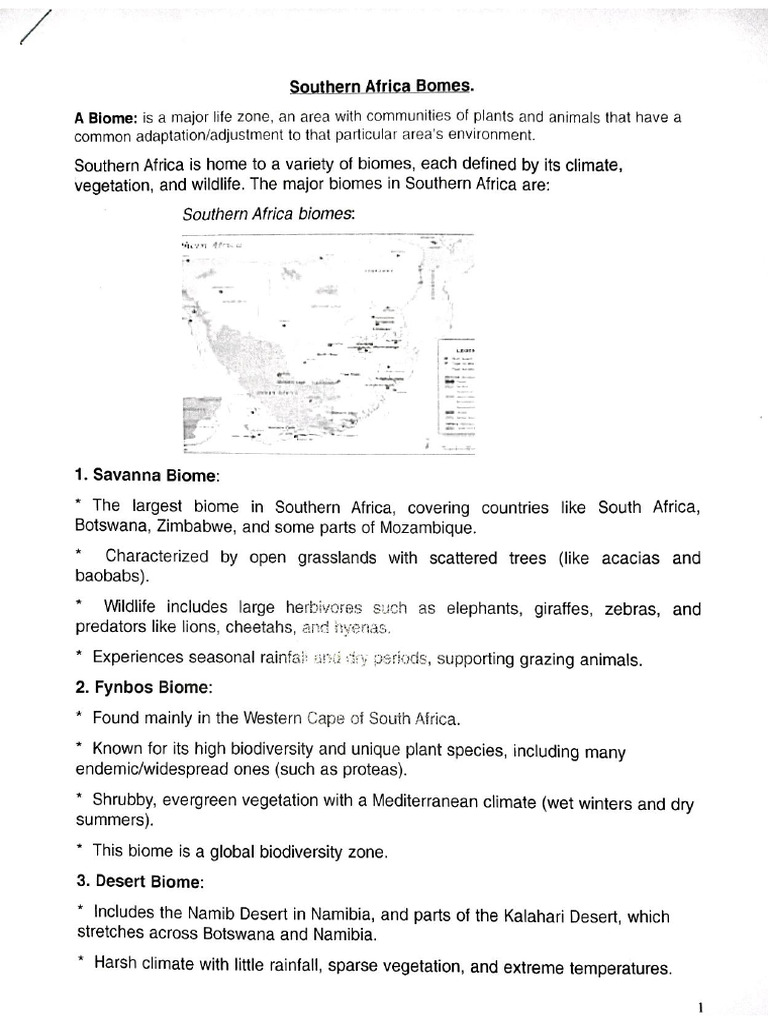 South African Biomes, Geo | PDF