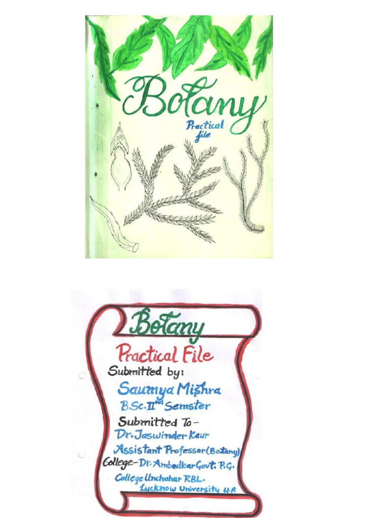 2nd Semester Practical File Botany | PDF