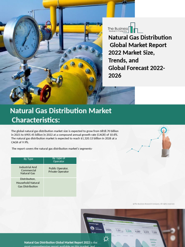 Global Natural Gas Distribution Trends | PDF | Economies | Business