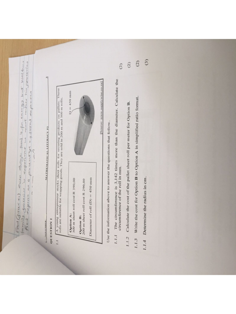 Maths Lit Paper 2 | PDF