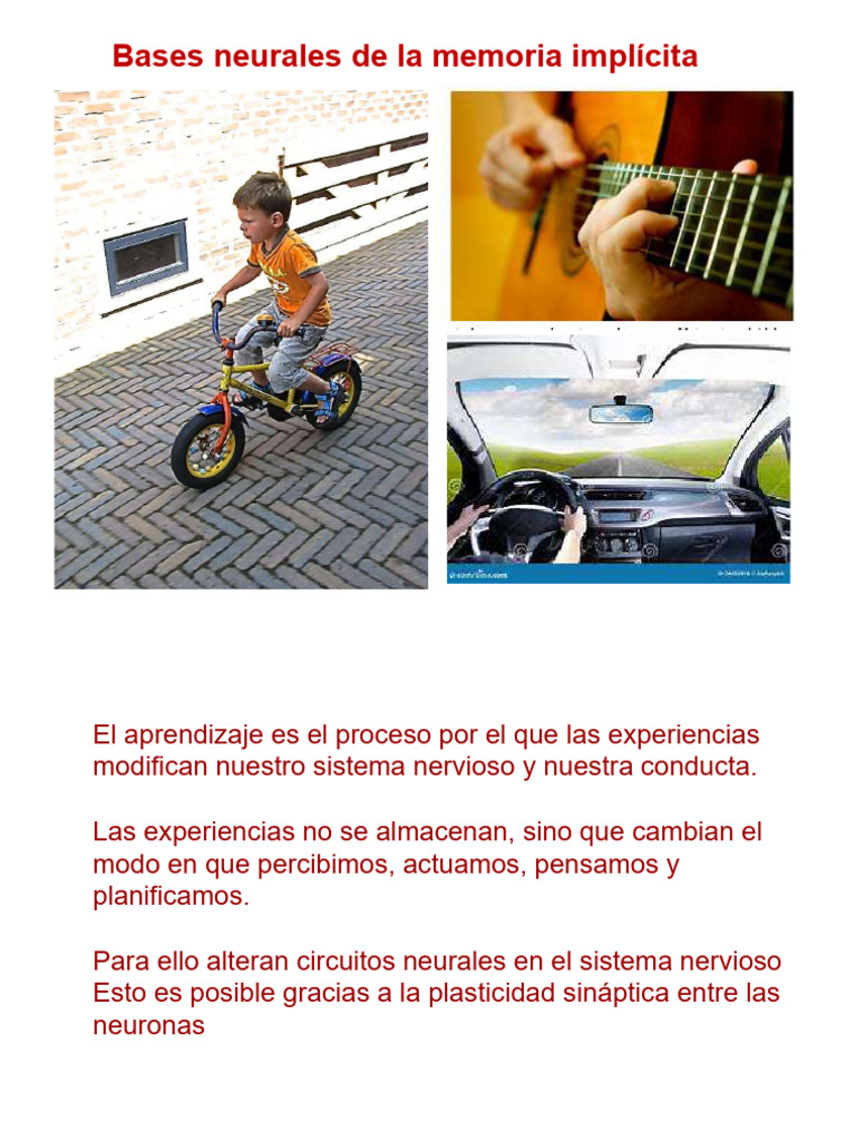 Presentación Memoria Implícita Ganglios Basales y Cerebelo | PDF ...