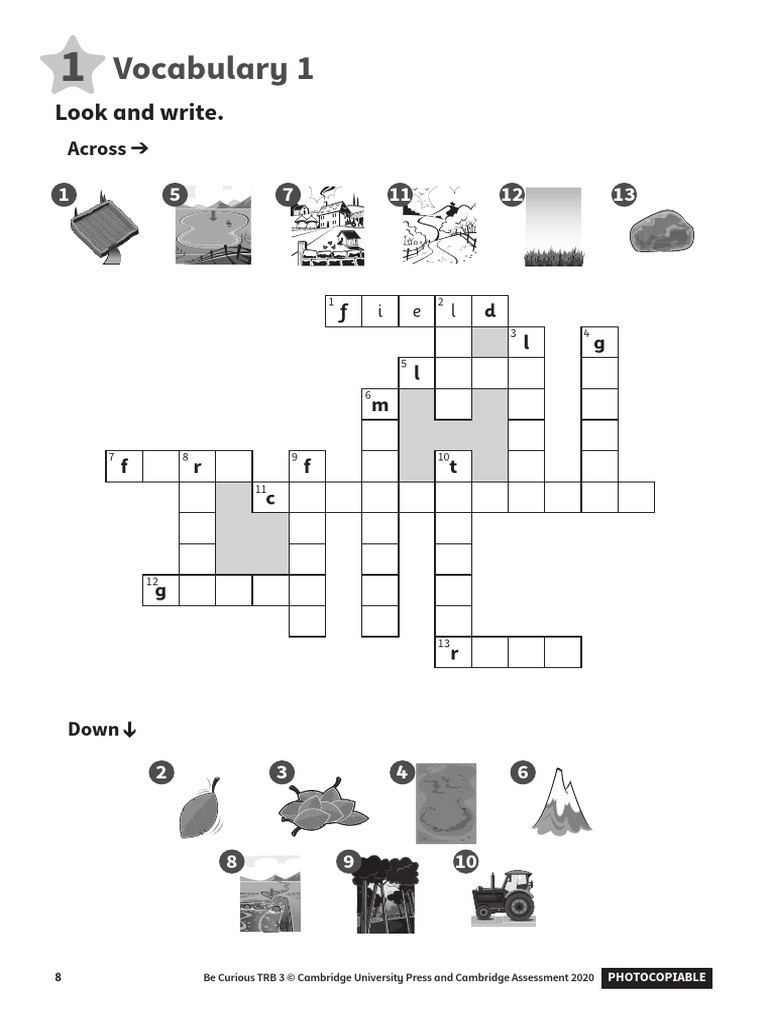 Be Curious 3 Crossword Puzzle | PDF
