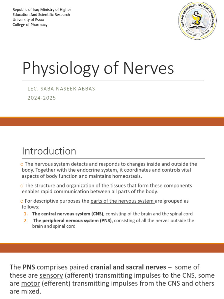 lec2 (1) | PDF | Chemical Synapse | Inhibitory Postsynaptic Potential