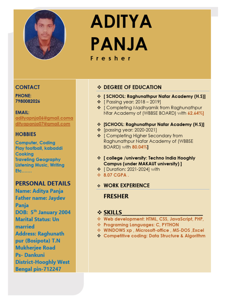 Aditya Panja: Fresher | PDF