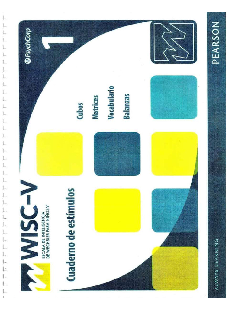 Wisc V Cubos, Matrices, Vocabulario, Balanzas | PDF